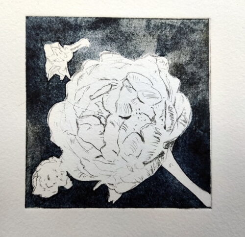 How to - Drypoint etching - Alison G Saunders Art